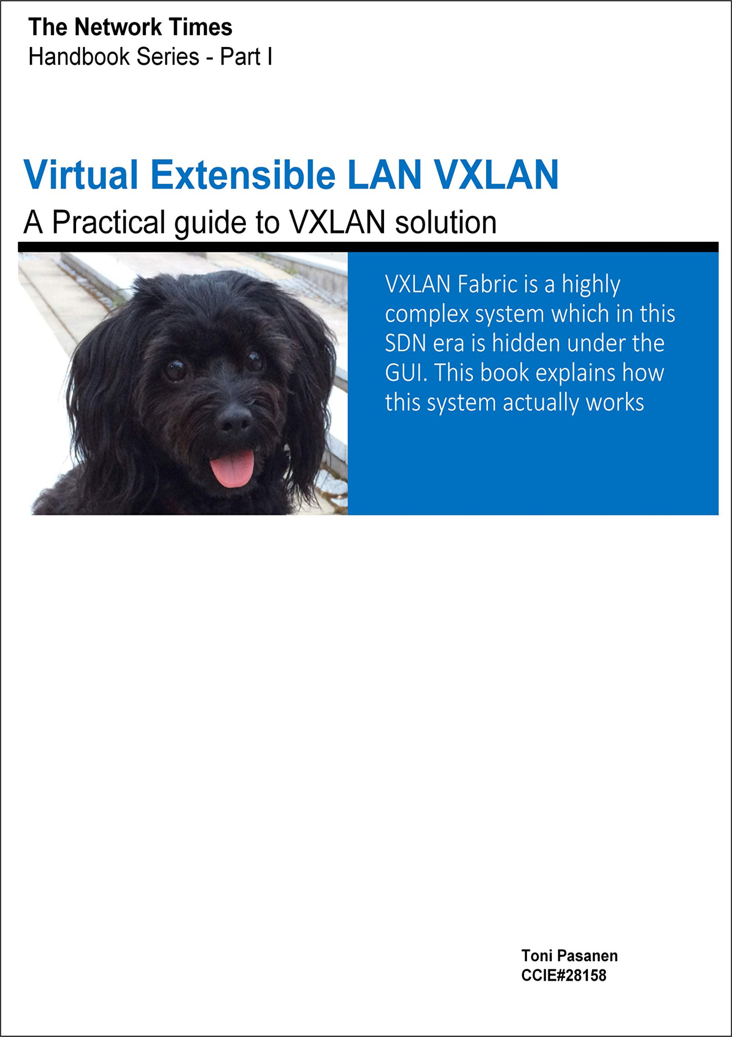 READ Virtual Extensible LAN VXLAN A Practical guide to VXLAN solution.pdf | DocDroid