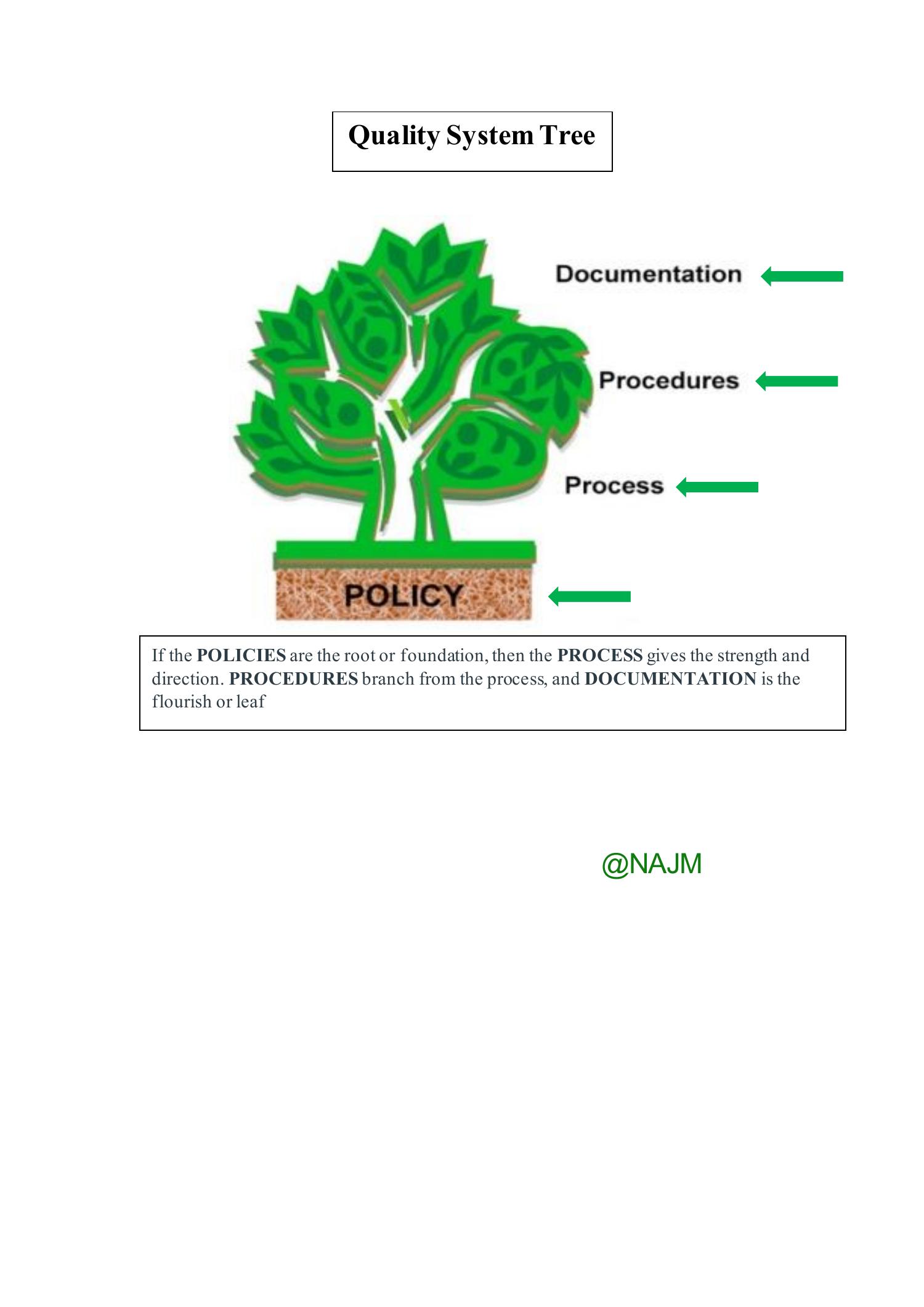 Q.S.TREE.pdf | DocDroid