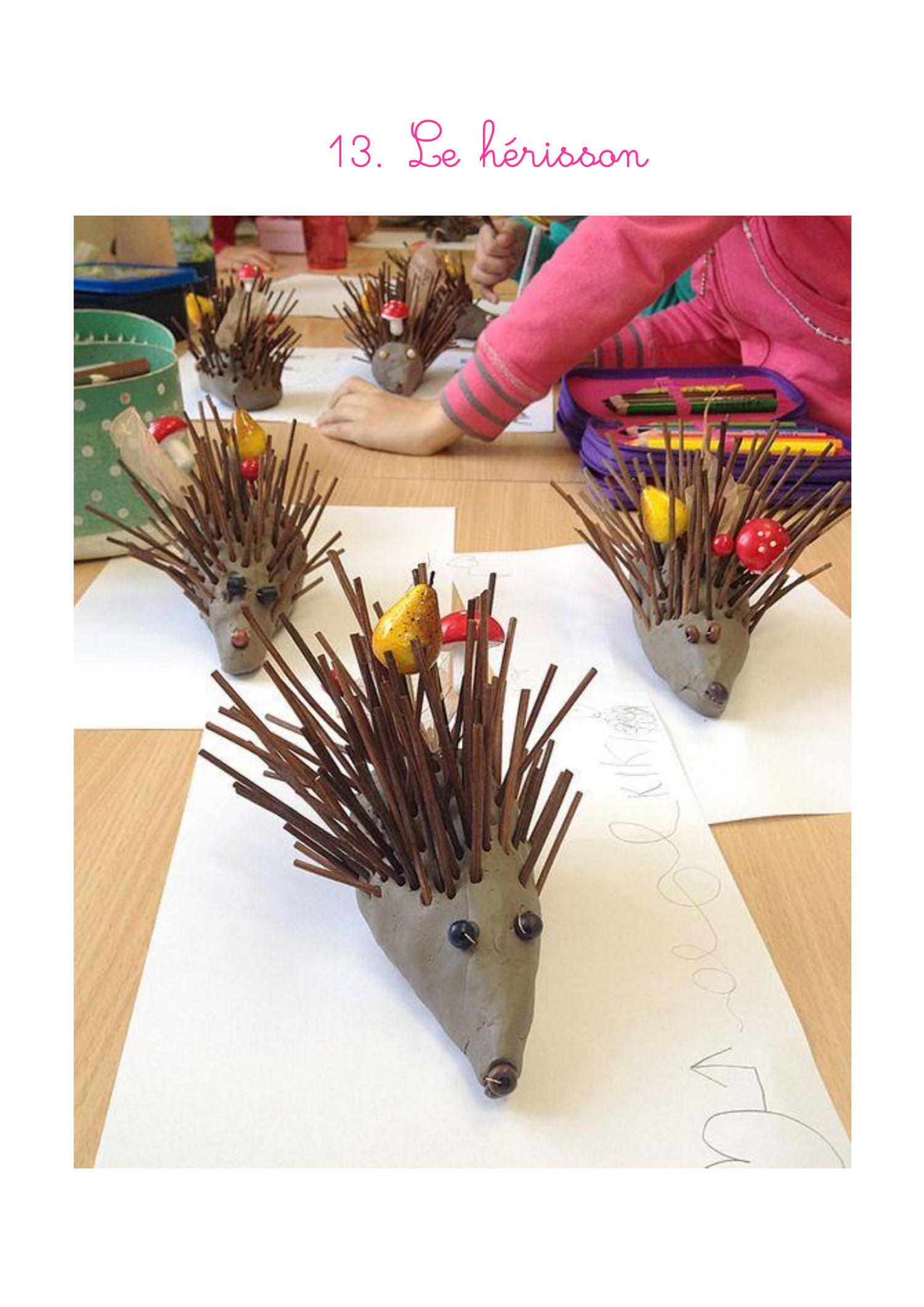 Dossier hérisson.pdf | DocDroid