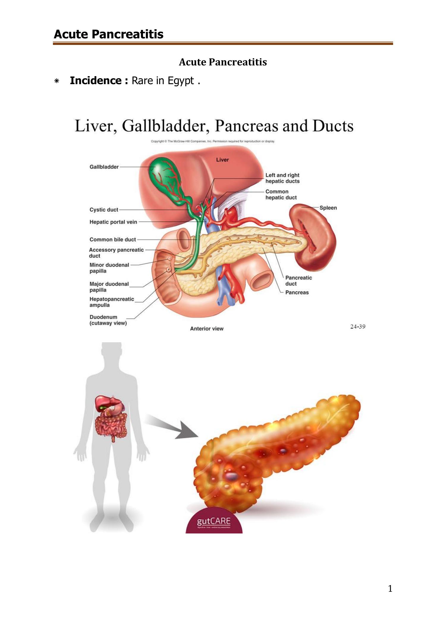 Acute Pancreatitis.doc | DocDroid