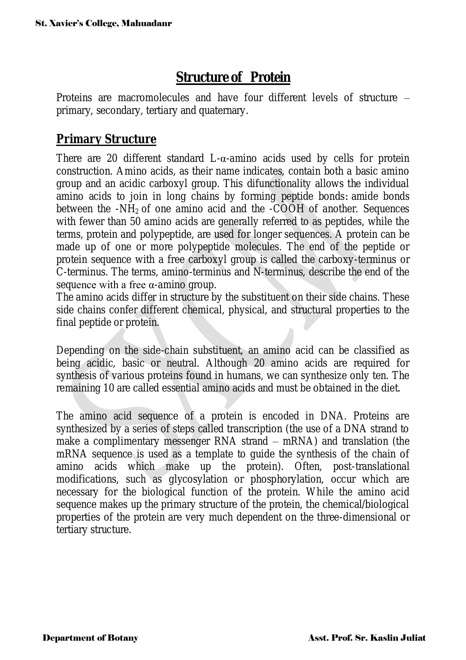 Structure of Protein.pdf | DocDroid