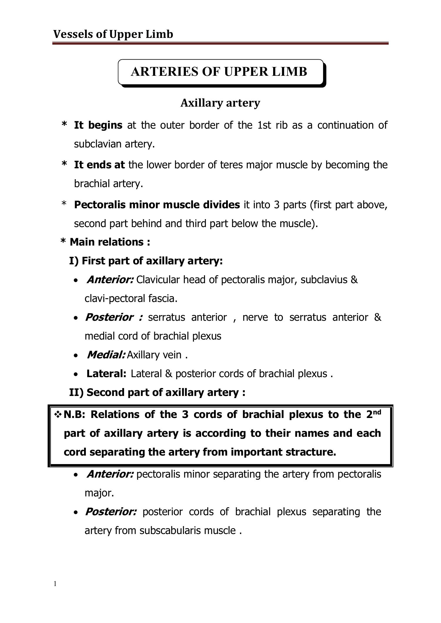 anatomy vessels UL 2022.doc | DocDroid