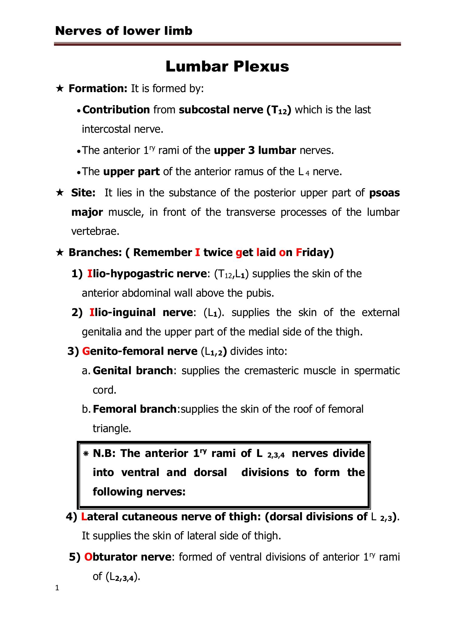 Anatomy Nerves of LL 2022.doc | DocDroid