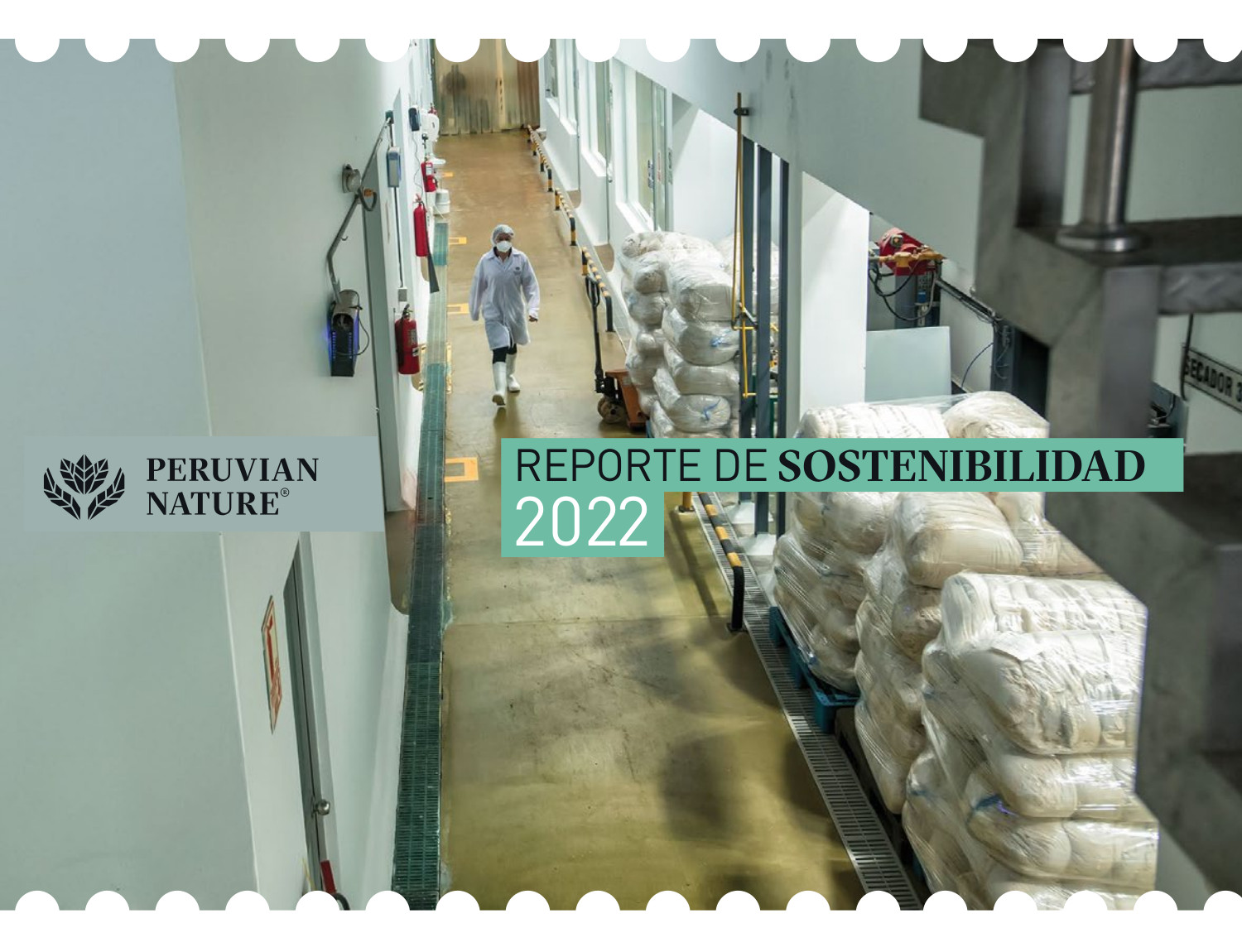 REPORTE-2022-ESP2-comp.pdf | DocDroid