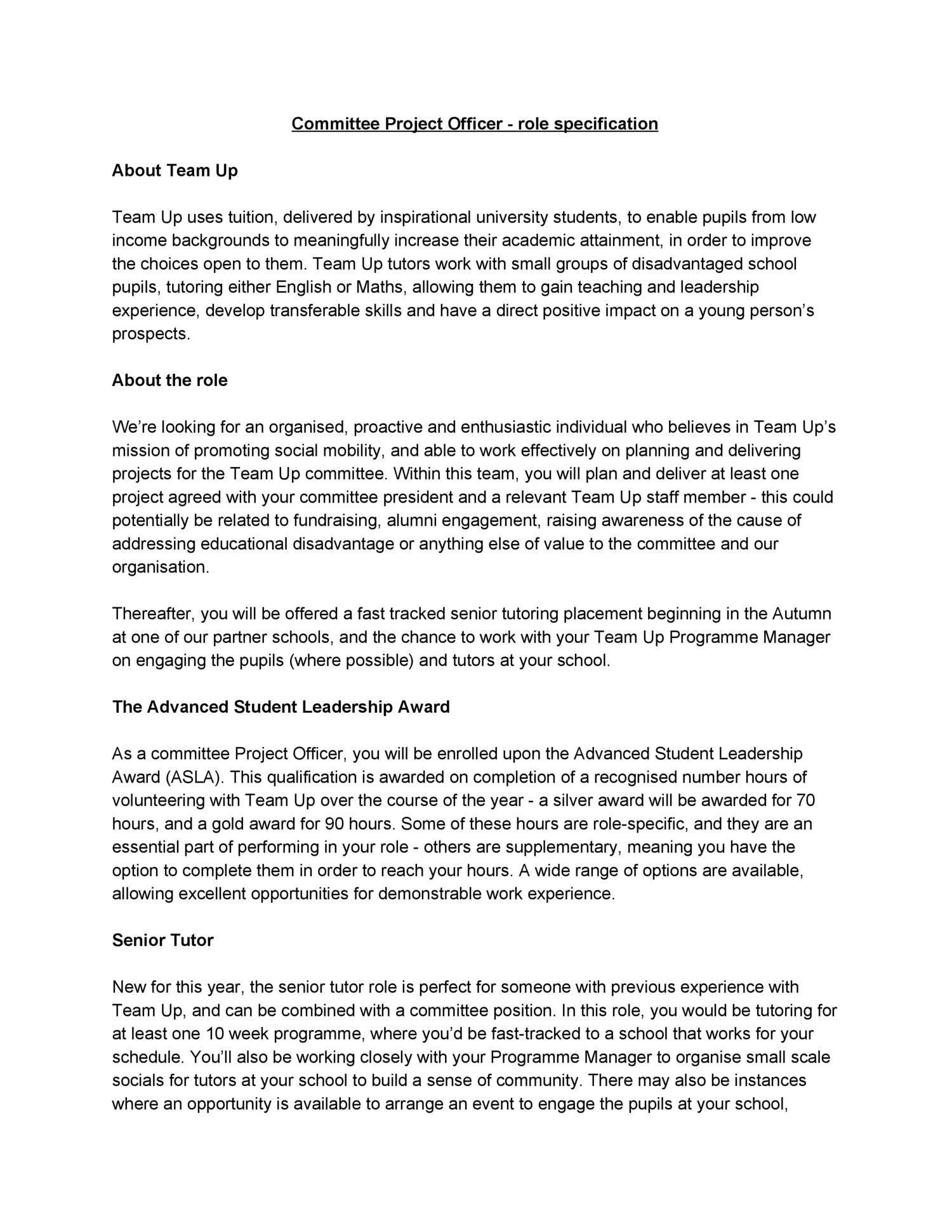 Team Up Project Officer - role specification.pdf | DocDroid