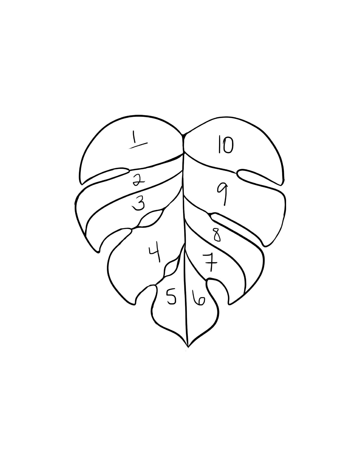 monstera.pdf | DocDroid