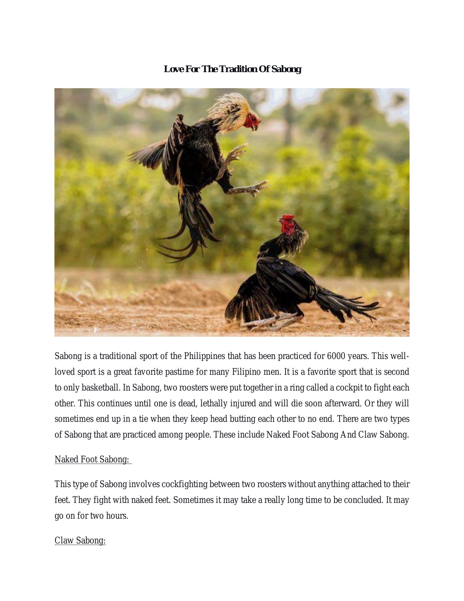 Love For The Tradition Of Sabong.pdf | DocDroid