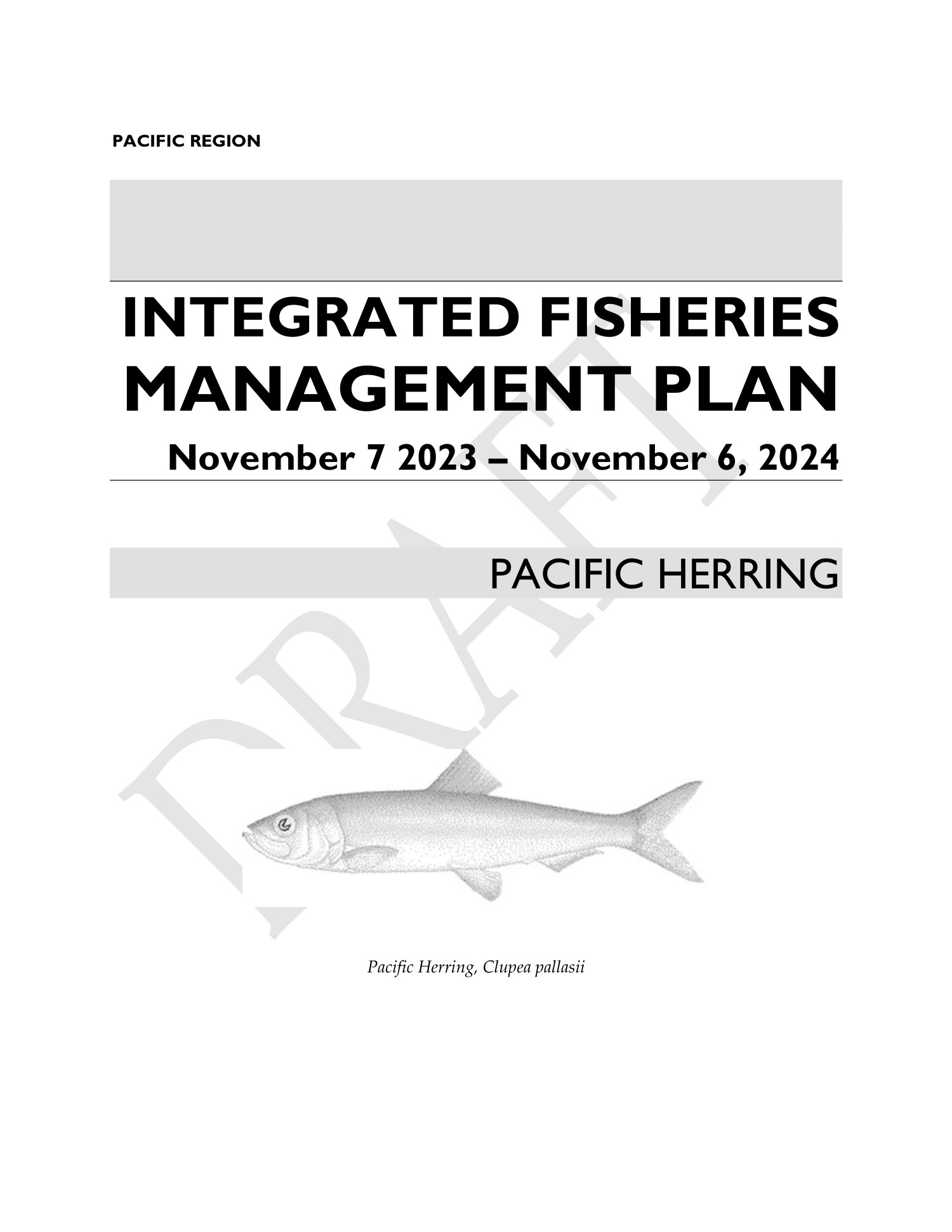 2023 2024 Full Ifmp Draft Pdf Docdroid