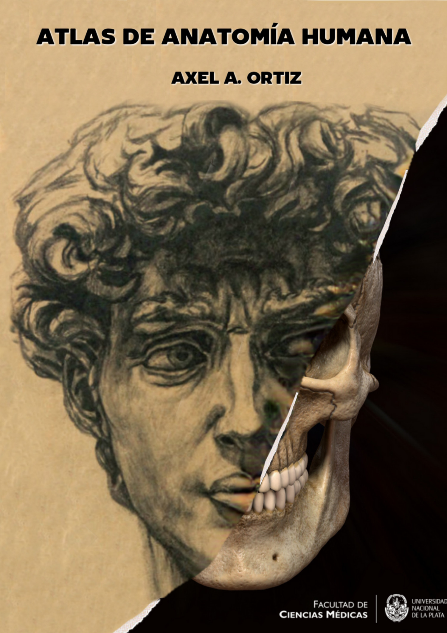 ATLAS DE ANATOMÍA HUMANA- A.A. ORTIZ.pdf | DocDroid