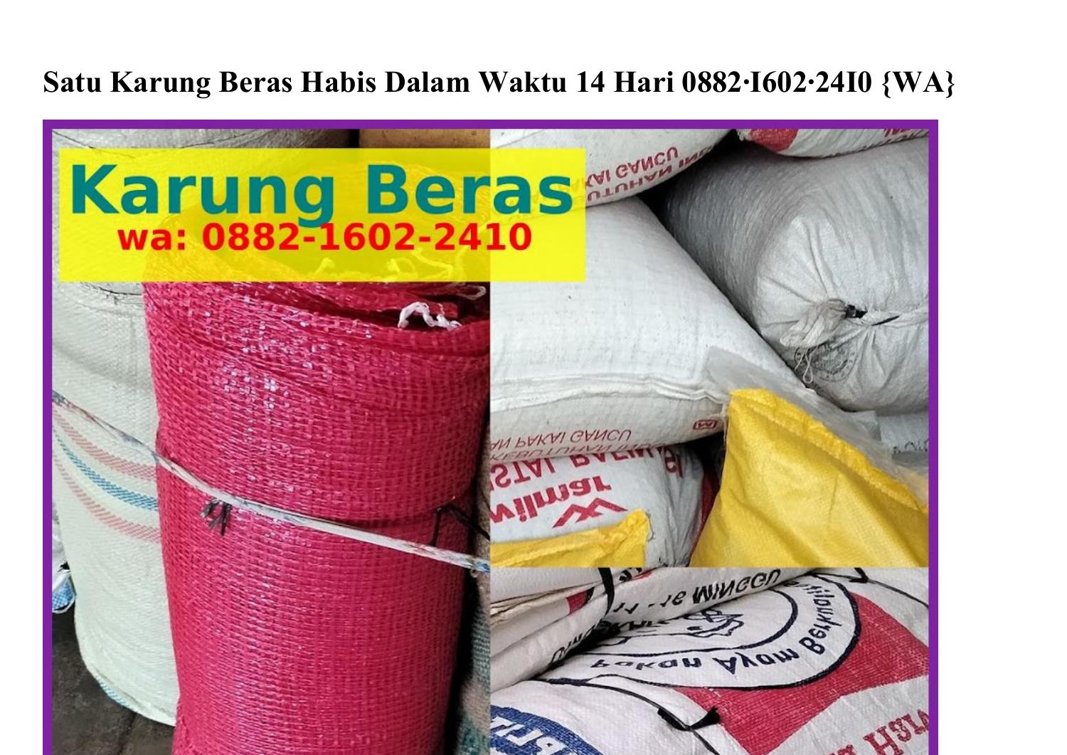 Satu Karung Beras Habis Dalam Waktu 14 Hari (1).pdf | DocDroid