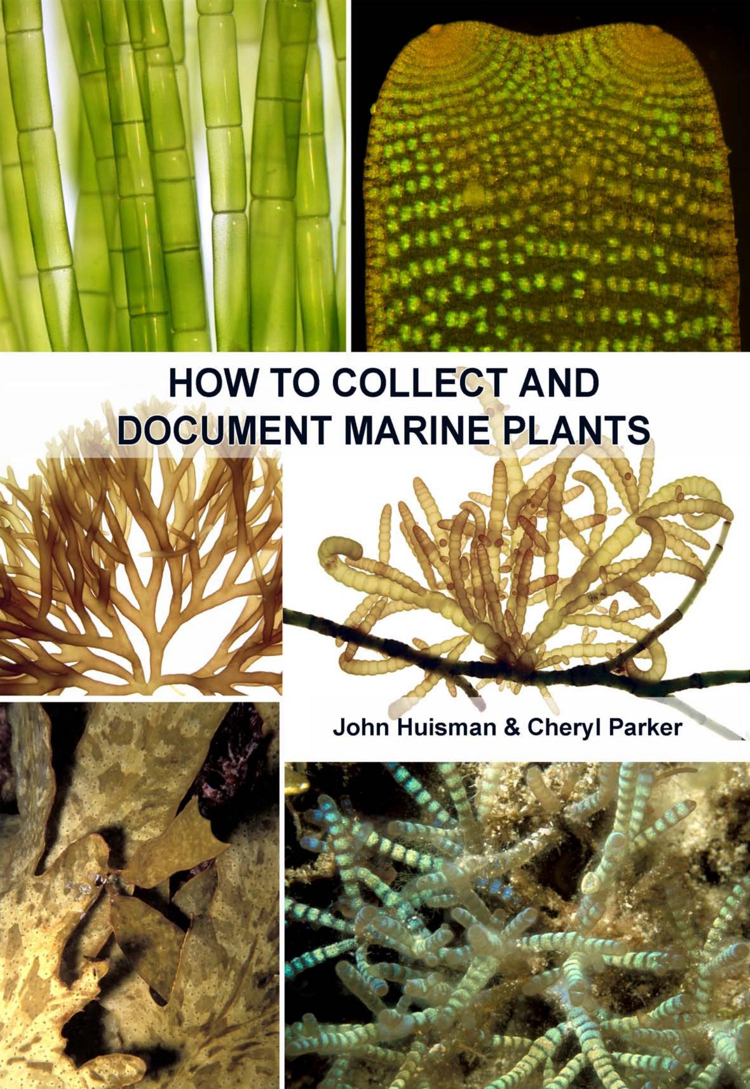How To Collect And Document Marine Plants.pdf | DocDroid