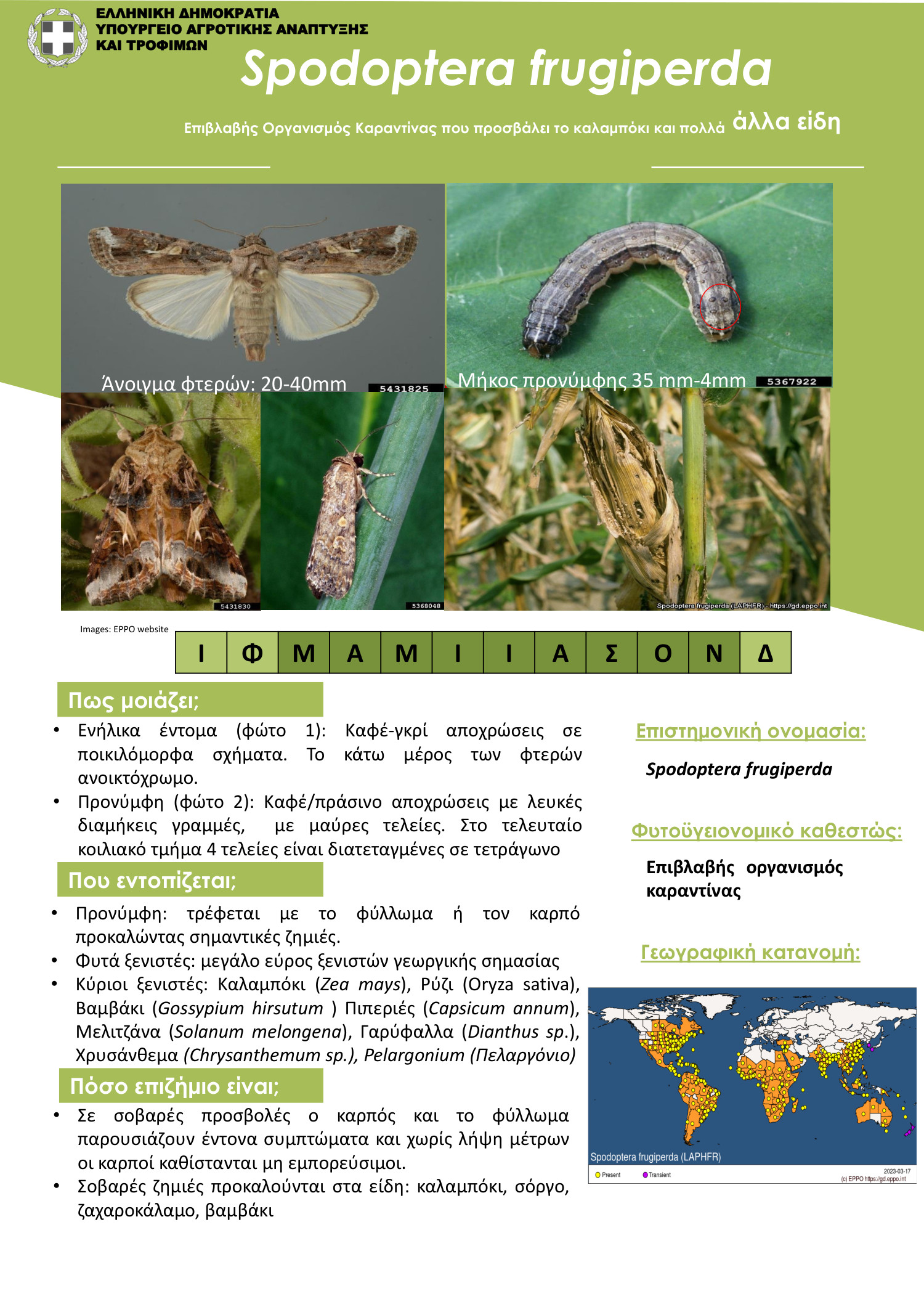 Spodoptera_frugiperda_poster_220923(3) ΚΟΖΑΝΗ.pdf | DocDroid