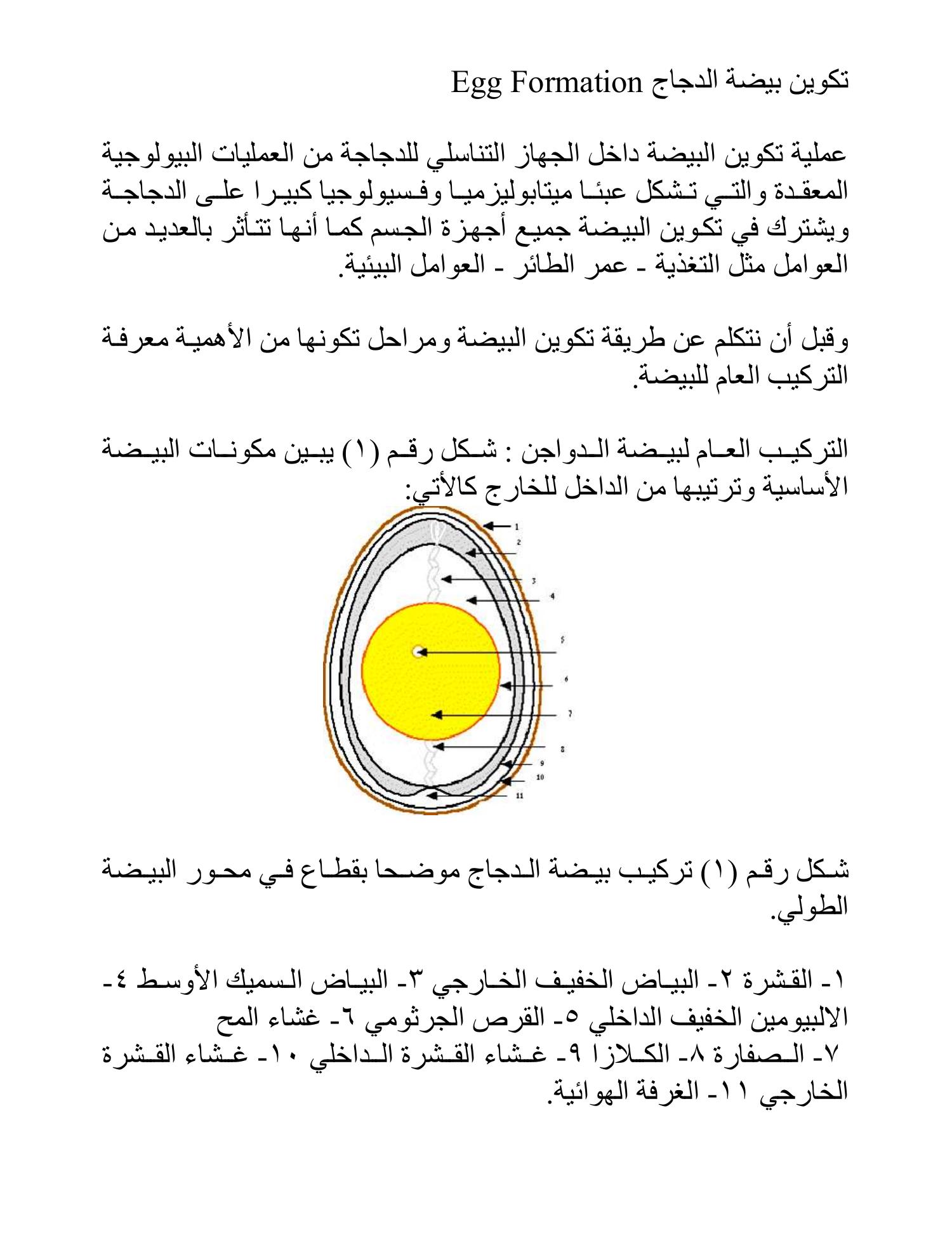 Egg Formation.pdf | DocDroid