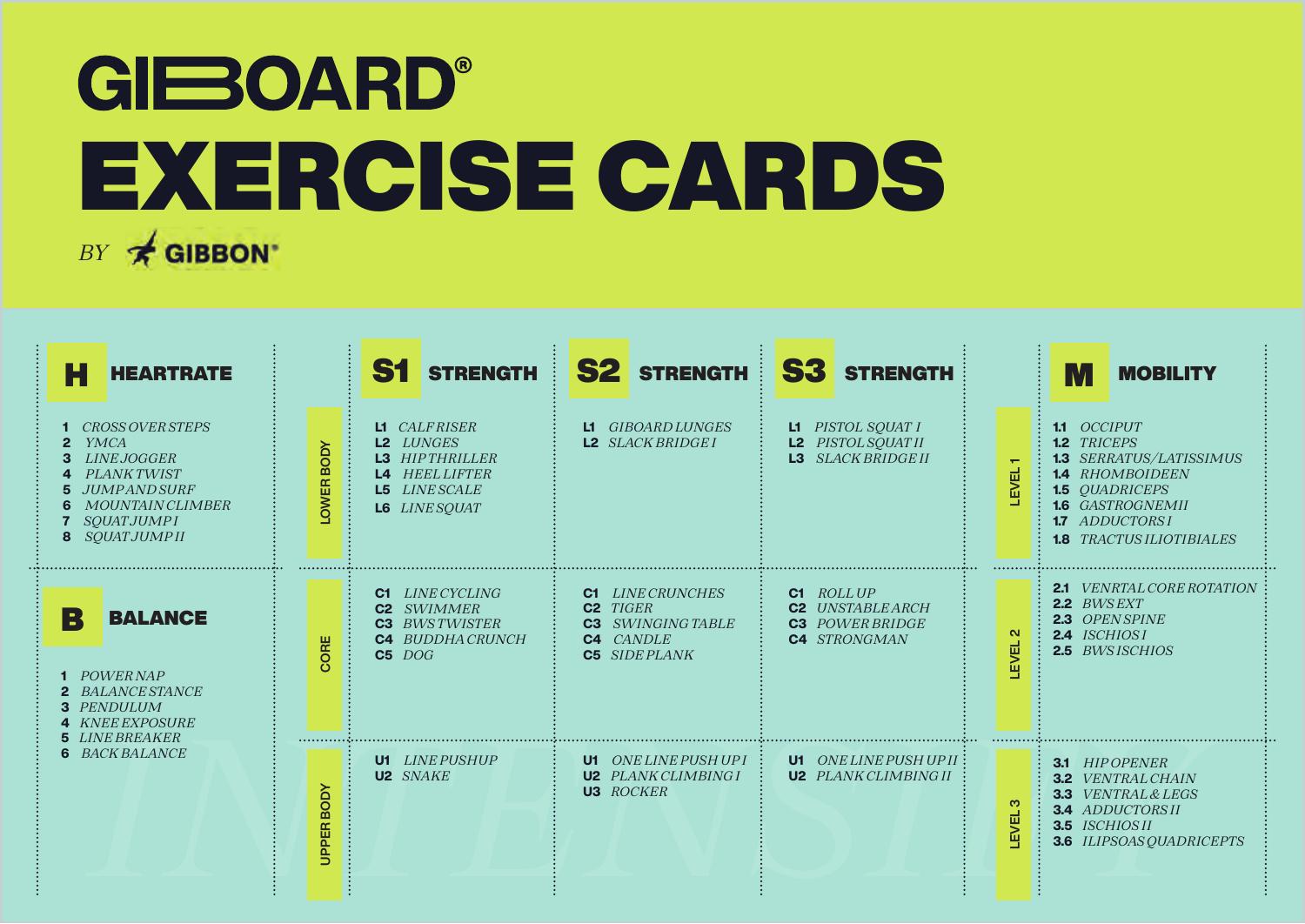 GIBOARD FITNESS EXERCISE CARDS English examples web.pdf | DocDroid