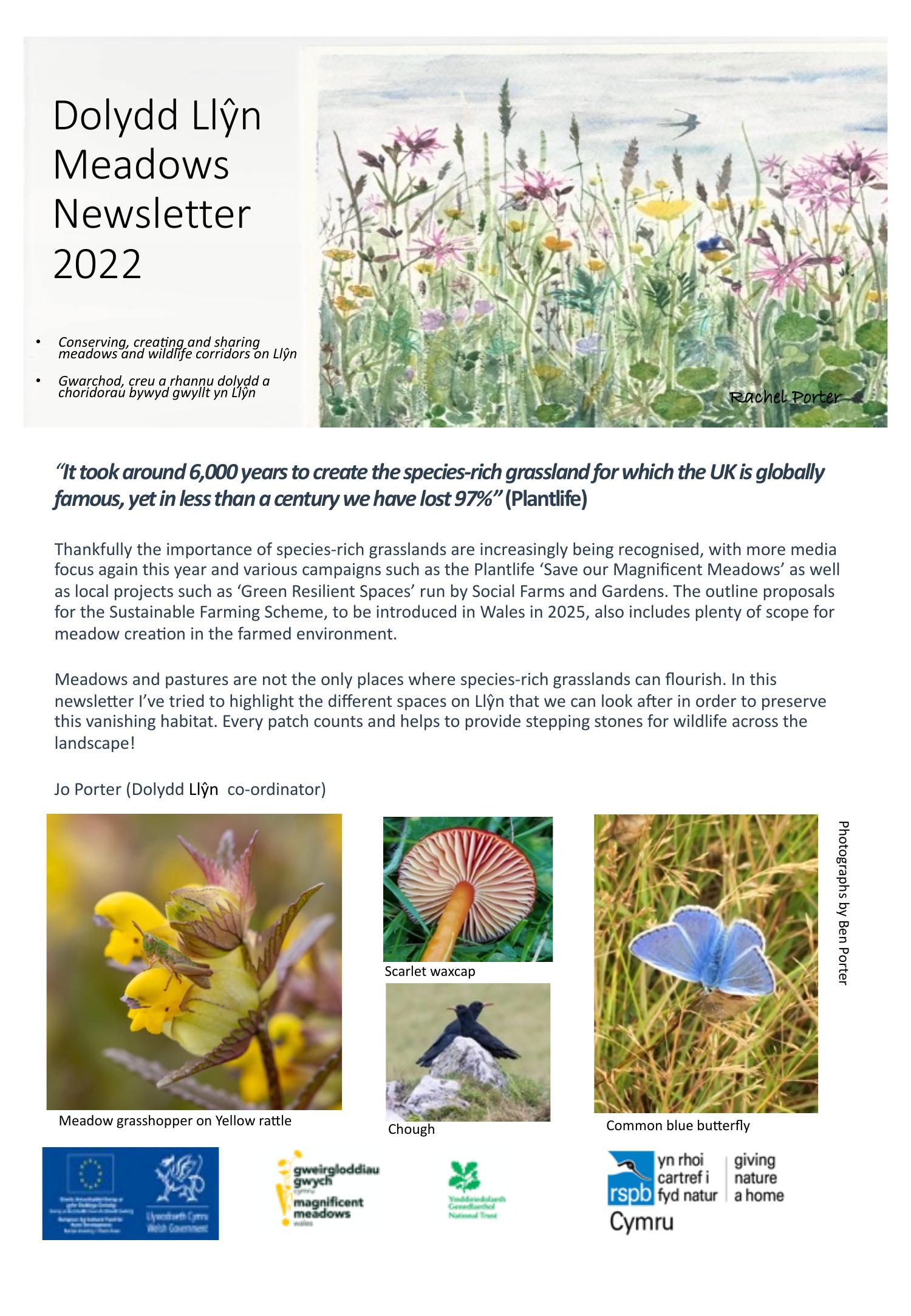 Dolydd Llyn newsletter 2022 (high res).pdf | DocDroid