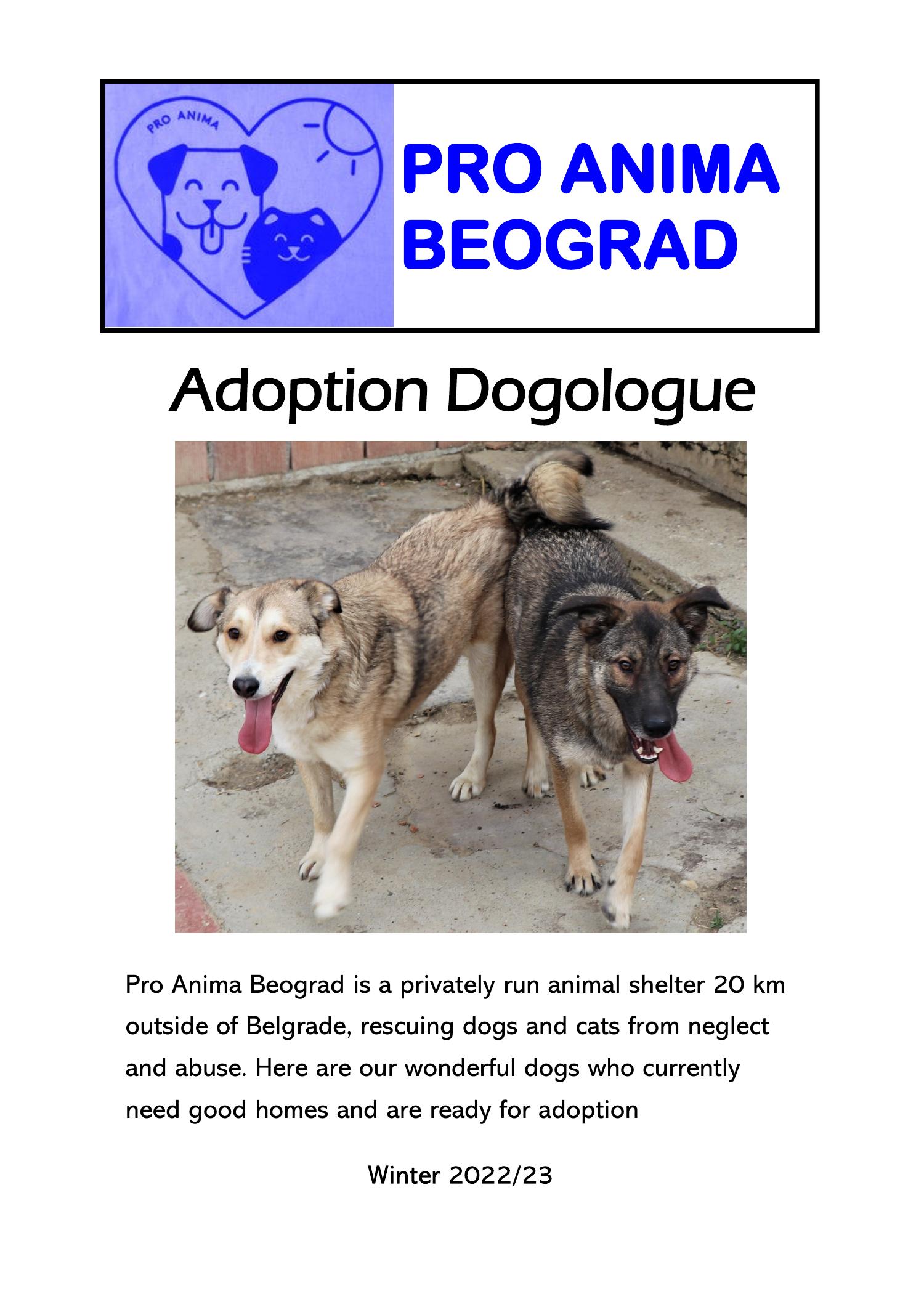 Dogologue - Winter 2022-23 (1).pdf | DocDroid