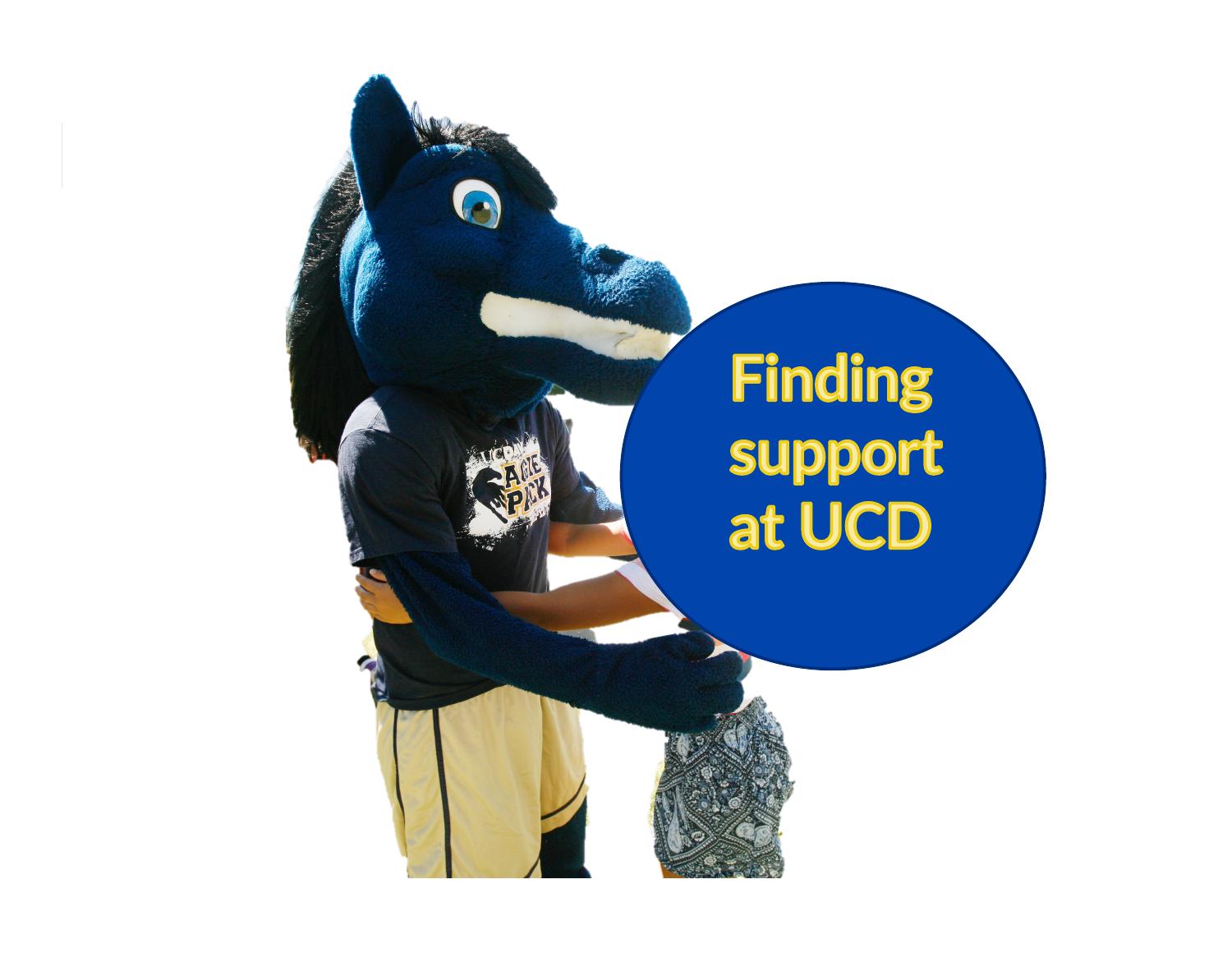 Finding Support at UCD.pdf | DocDroid