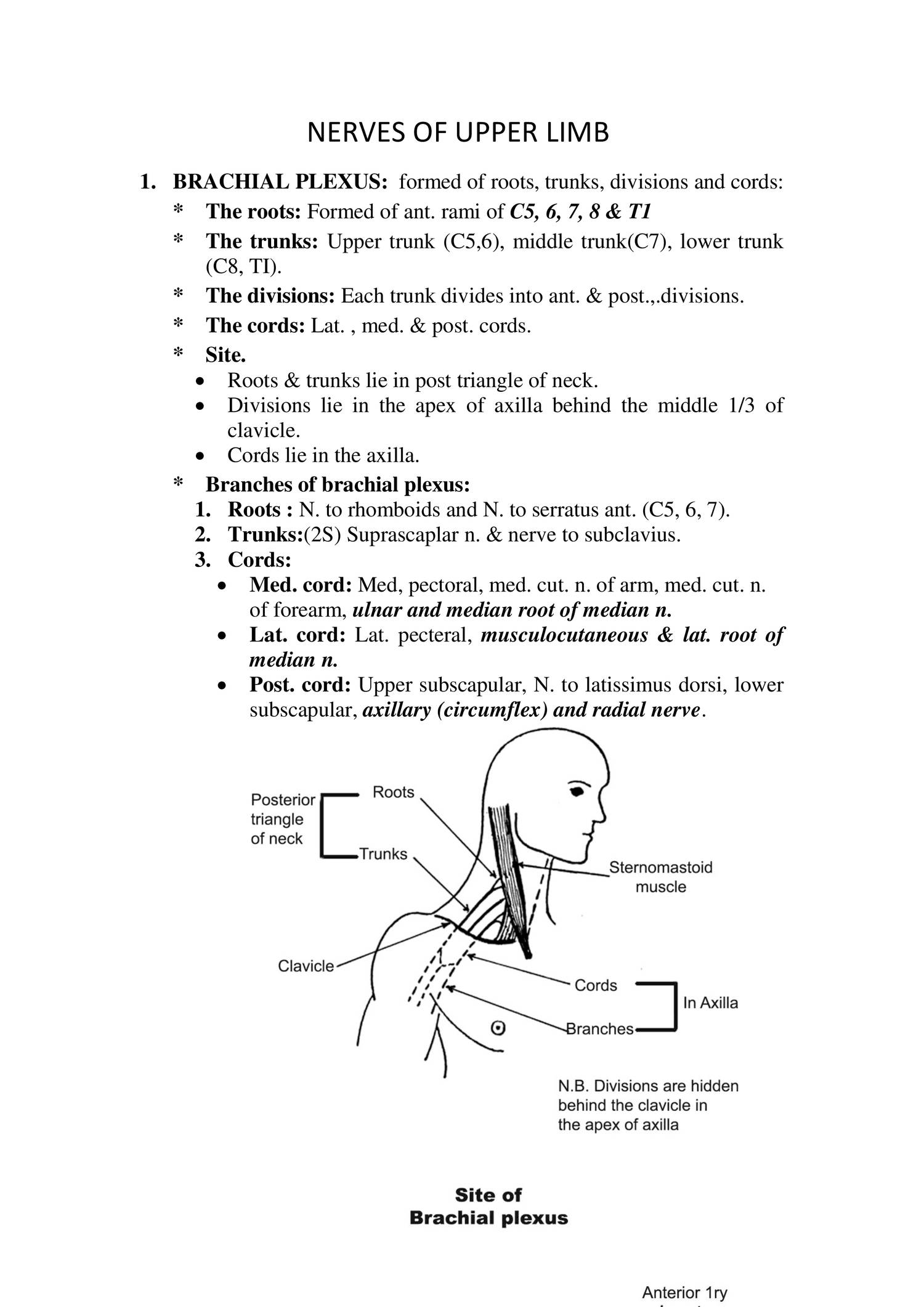 Anatomy of nerves of UL 4th year 2018.doc | DocDroid