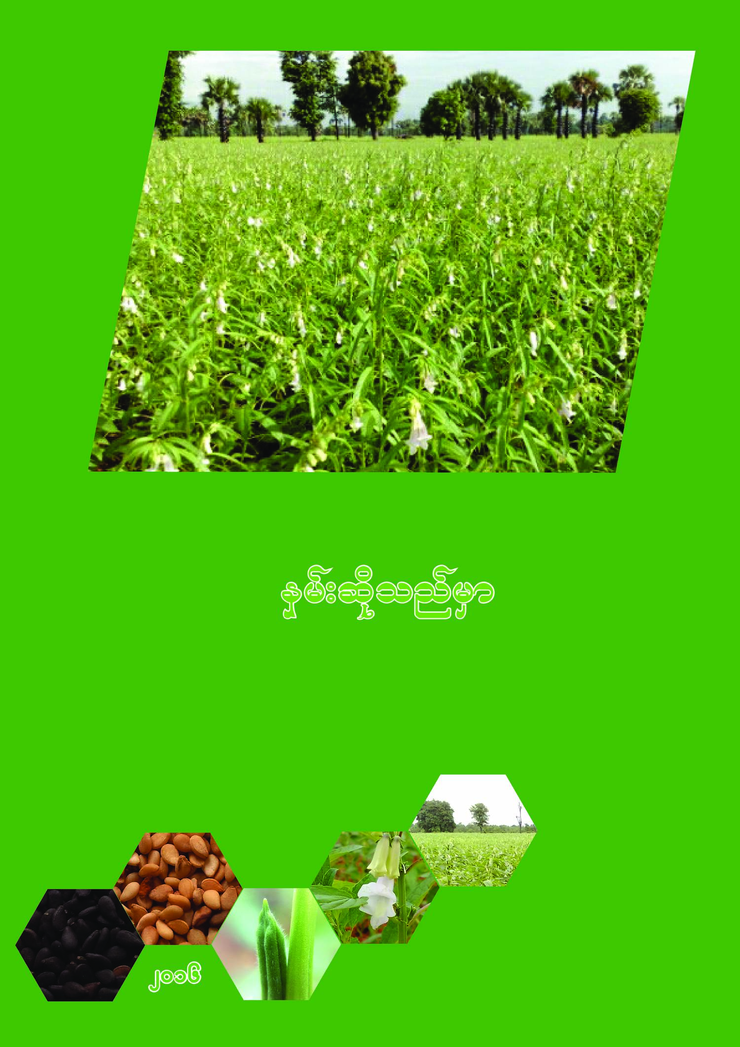 my sesame (1).pdf | DocDroid