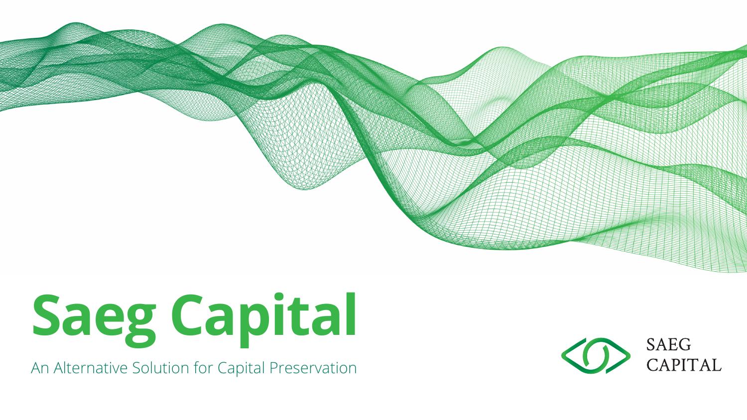 Saeg Pitch Tin Final.pdf | DocDroid