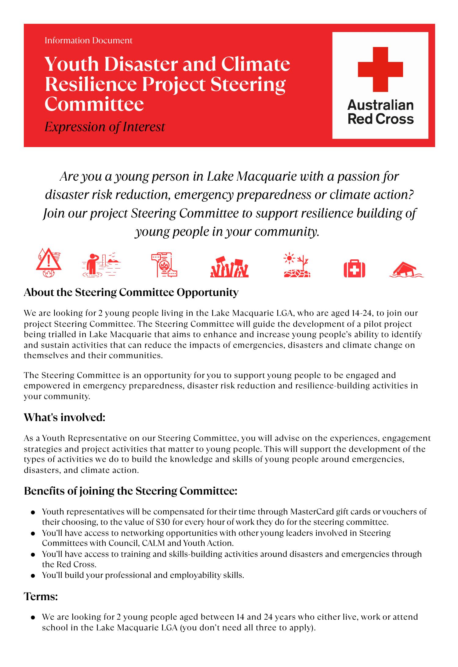 Youth Steering Group – Expression of interest_information document.pdf ...