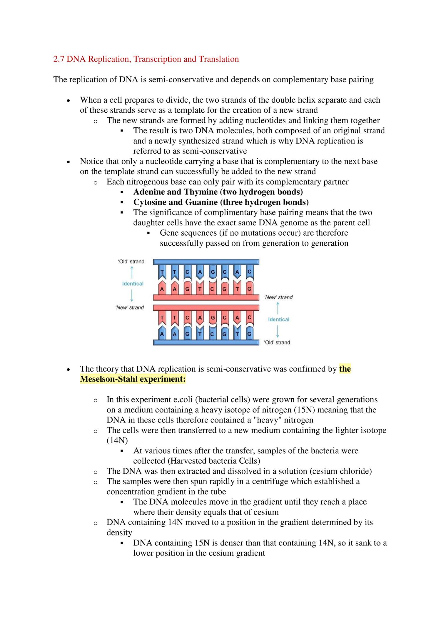 2.7-DNA replication, transcription and translation.pdf | DocDroid
