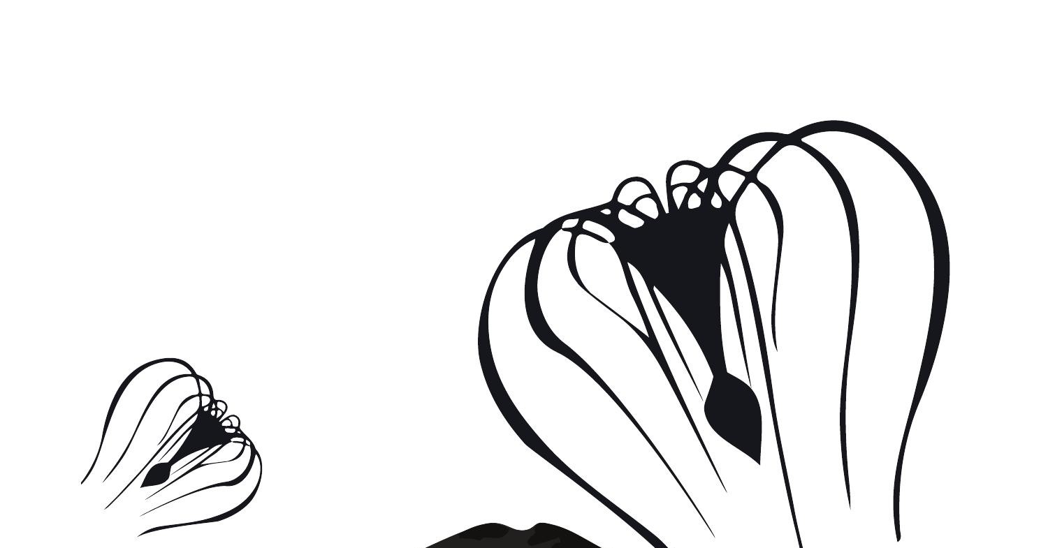 vector art.pdf | DocDroid