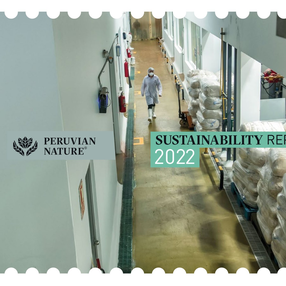 REPORTE-2022-ING2-comp.pdf | DocDroid