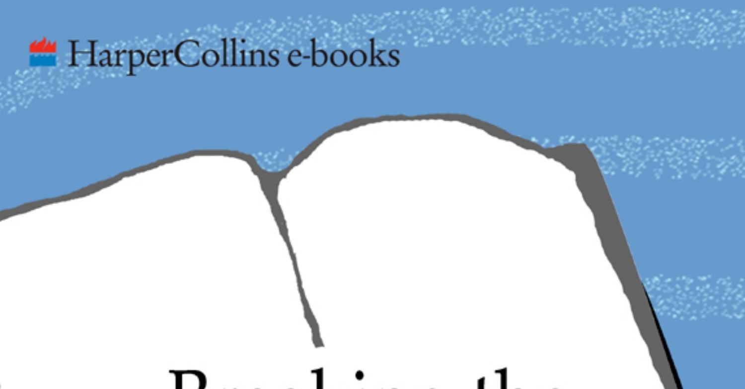 Jane Hyun - Breaking the Bamboo Ceiling_ Career Strategies for Asians ...