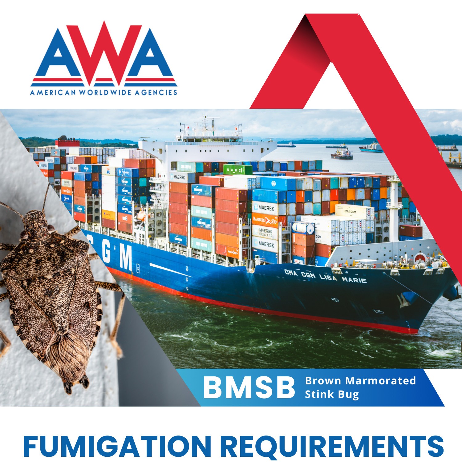 BMSB Fumigation Season Notice.pdf | DocDroid