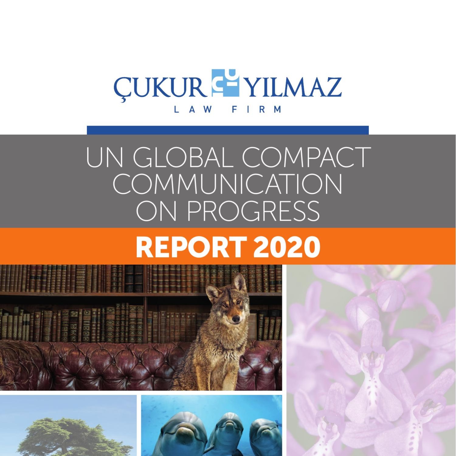 Cukur-Yilmaz Law Firm UN Global Compact COP Report .pdf | DocDroid