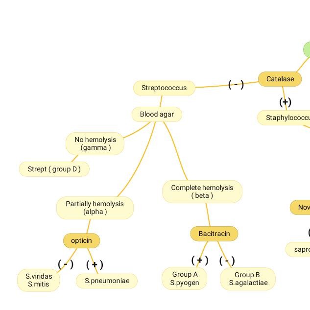 Classification of bacteria - Microbiology -.pdf | DocDroid