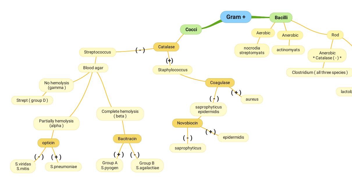 Classification of bacteria - Microbiology -.pdf | DocDroid