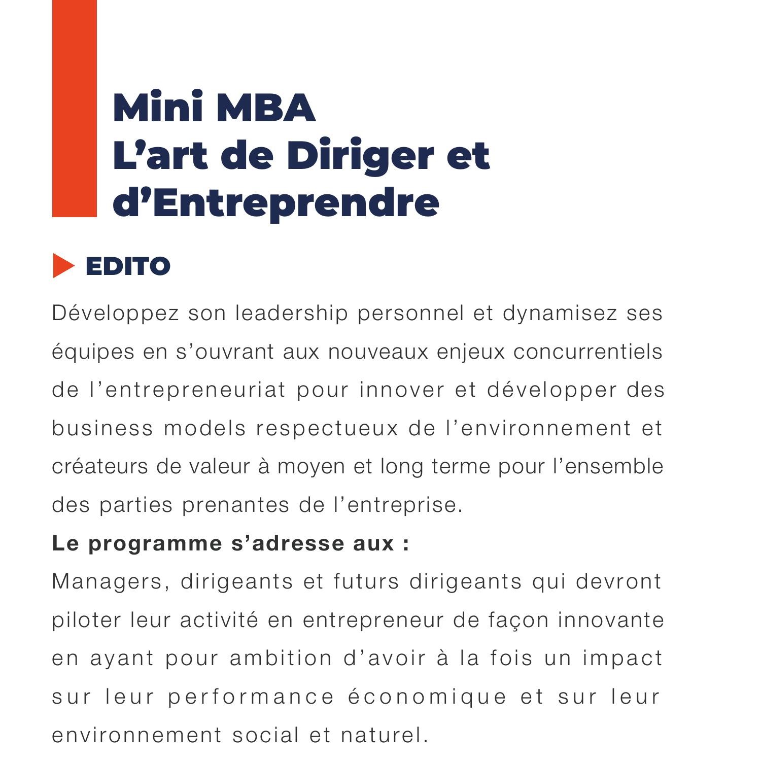 Mini MBA L’art de Diriger et d’Entreprendre.pdf | DocDroid