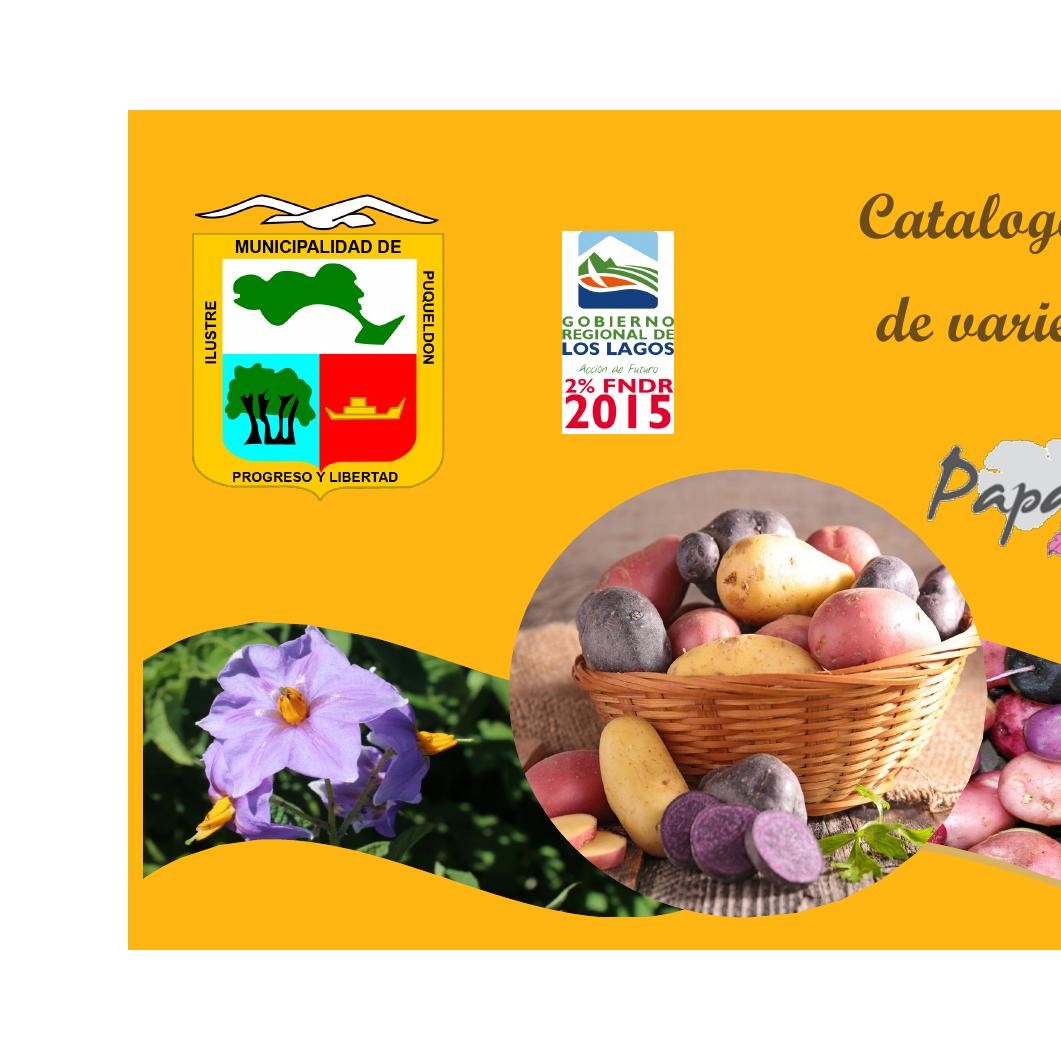 CATALOGO SIMPLE PAPA NATIVA pequeñito 2.0.pdf | DocDroid