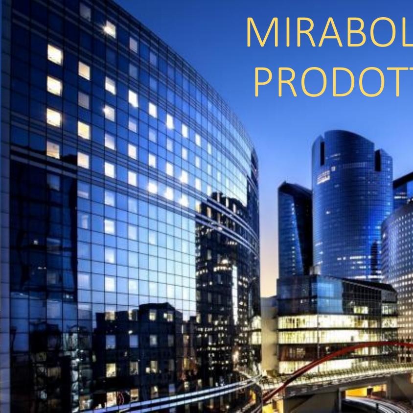 Financial Products Mirabol English.pdf | DocDroid