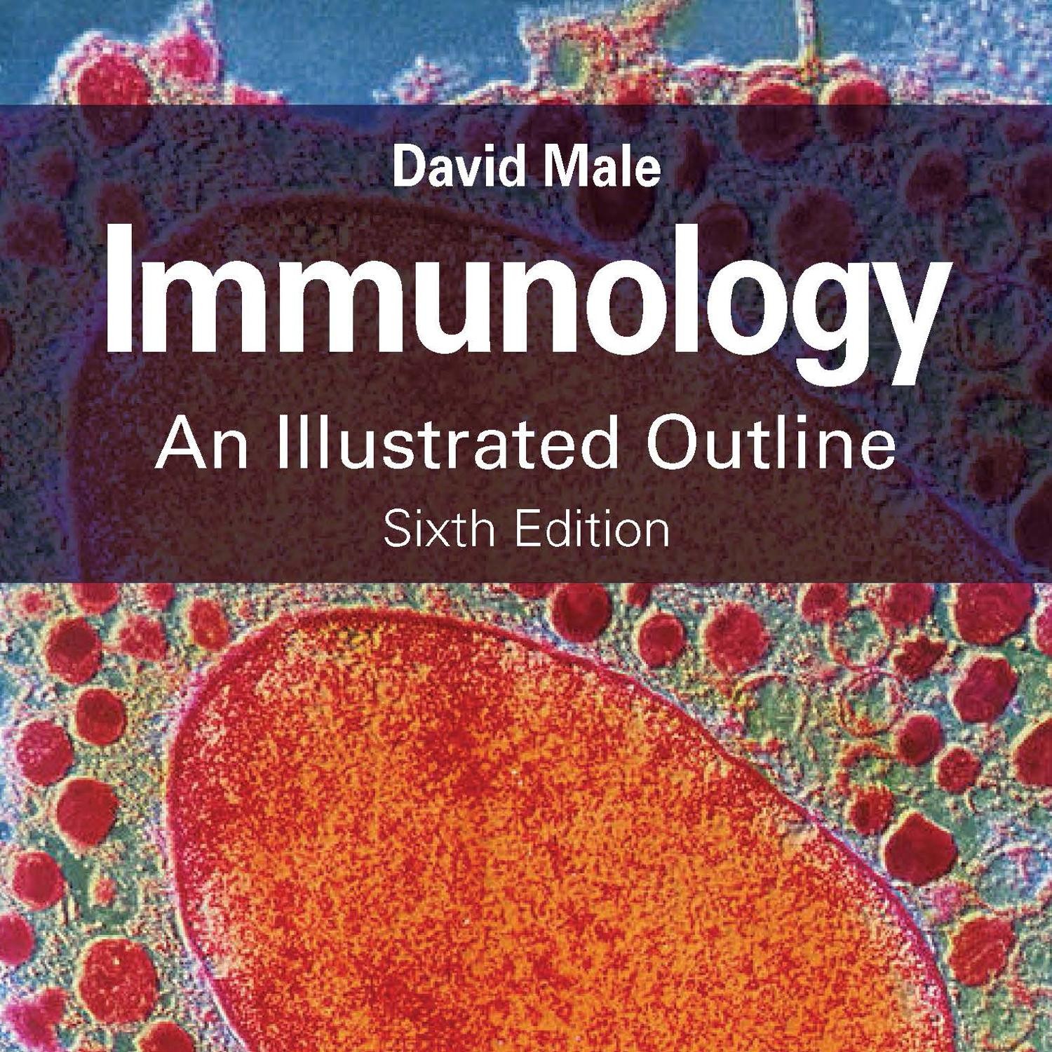 2021 Immunology An Illustrated Outline 6th Edition. Saleh’s Pdf.pdf ...