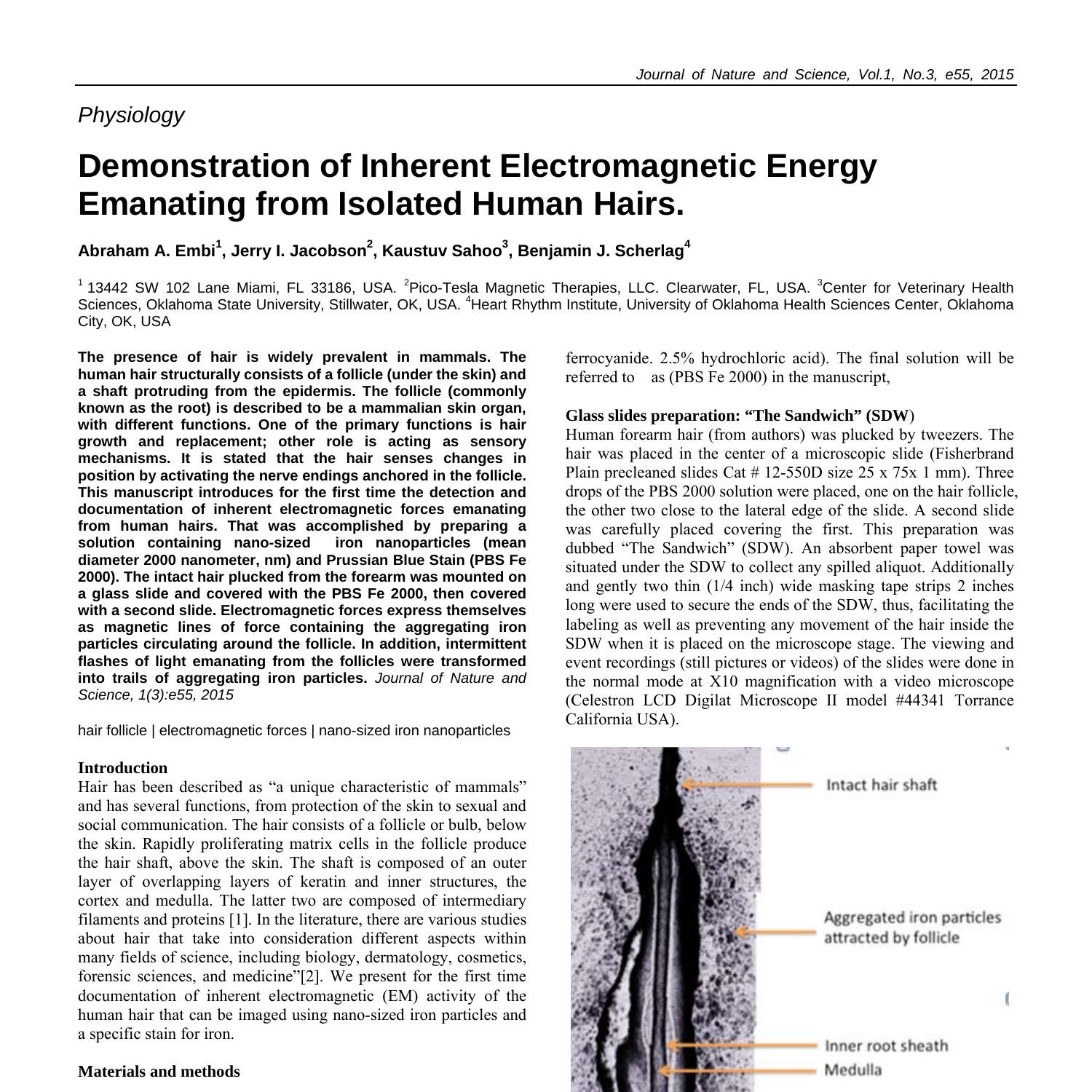-2015 Demonstration of Inherent Electromagnetic Energy Emanating from ...