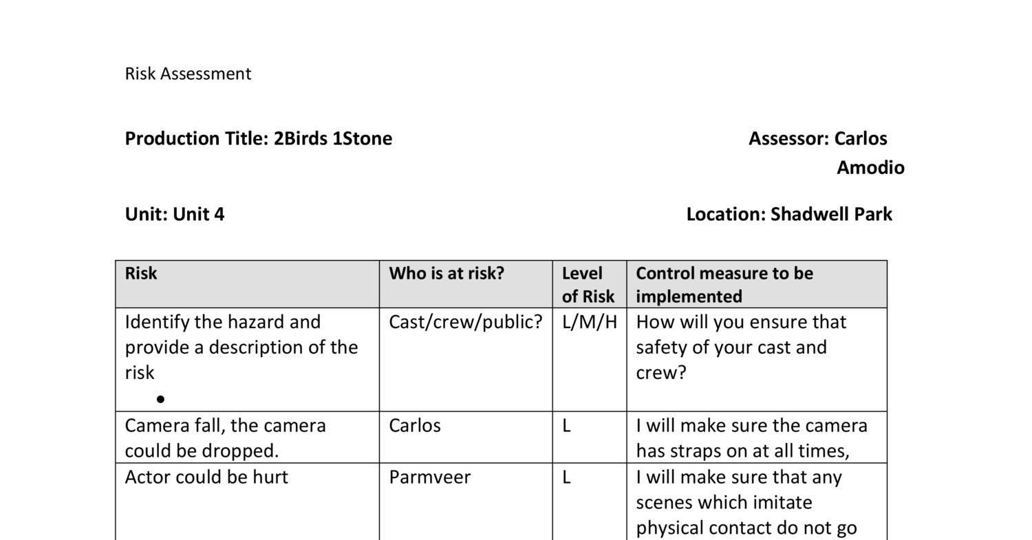 Risk Assessment Template.docx | DocDroid