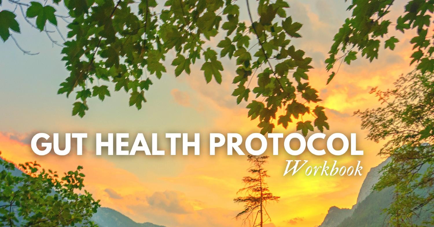 Gut Health Protocol Workbook - 2022.pdf | DocDroid