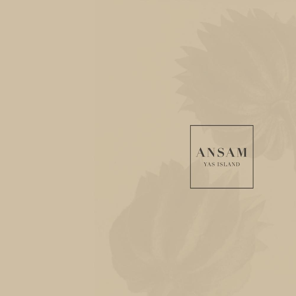 _Ansam-Residence-At-Yas-Island-Brochure_10298737.pdf | DocDroid