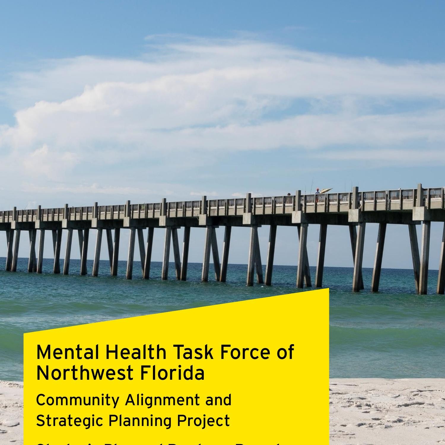 5.19.2023 Final Presentation to the Mental Health Task Force as printed ...