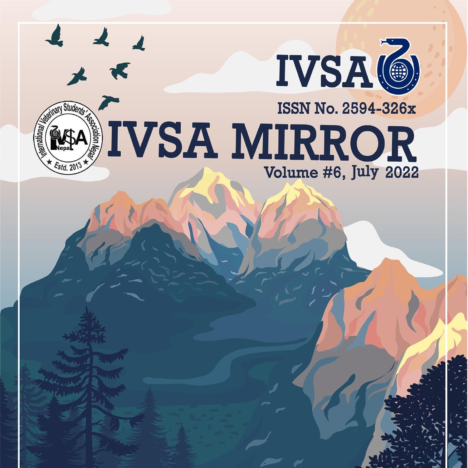 ivsa_Mirror#6.pdf | DocDroid
