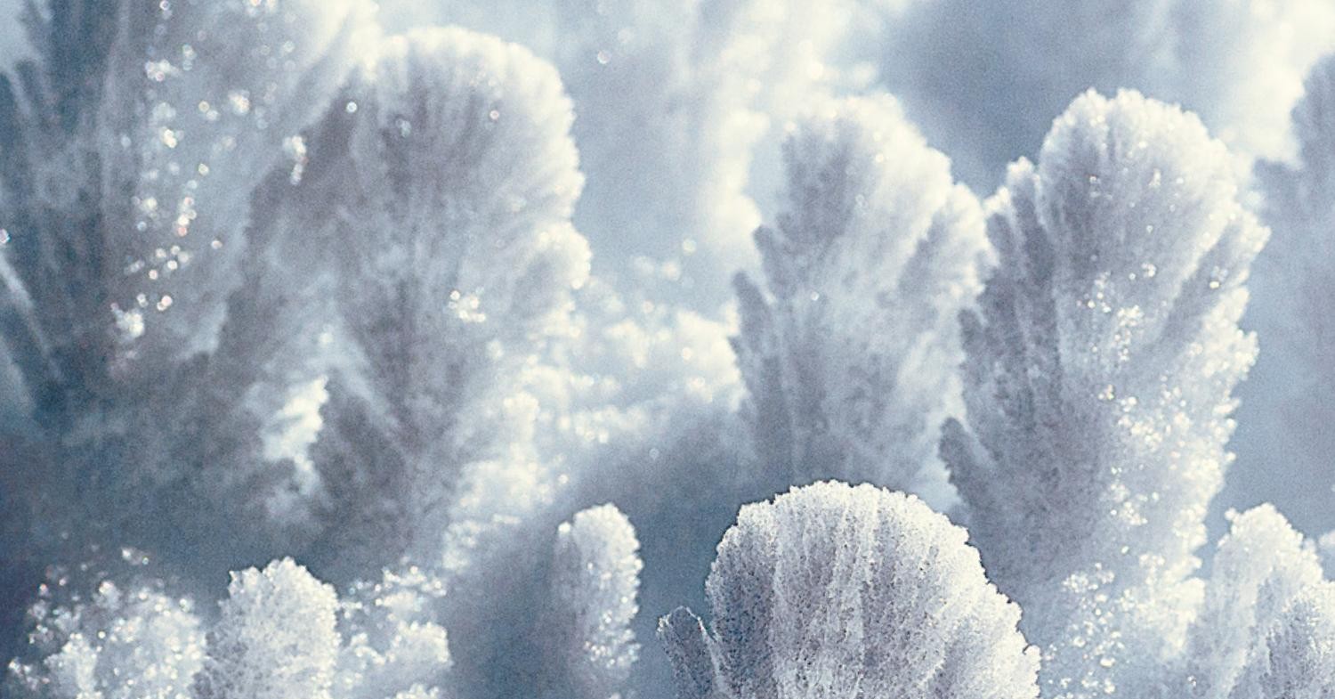 NiJ122012.pdf | DocDroid