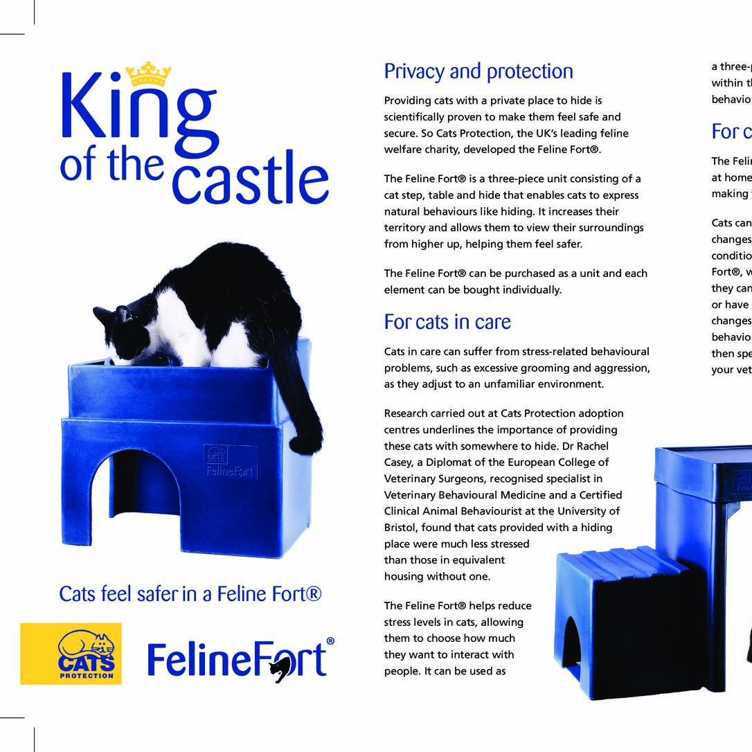 feline-fort-leaflet final.pdf | DocDroid