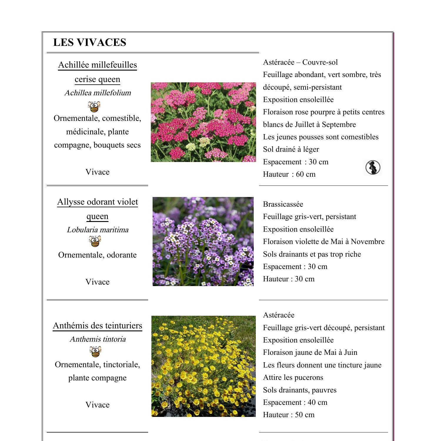 A4 Fleurs.pdf | DocDroid