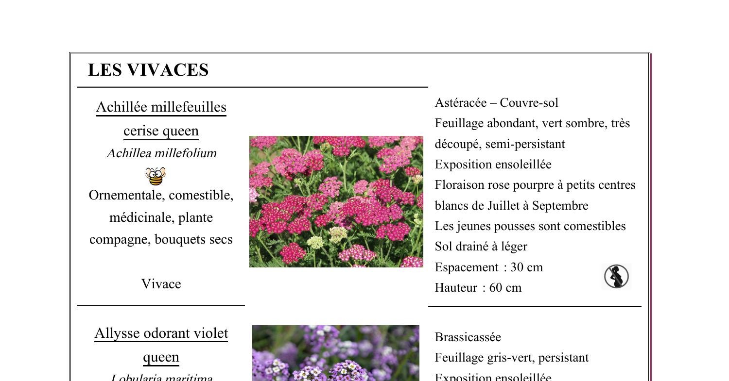 A4 Fleurs.pdf | DocDroid