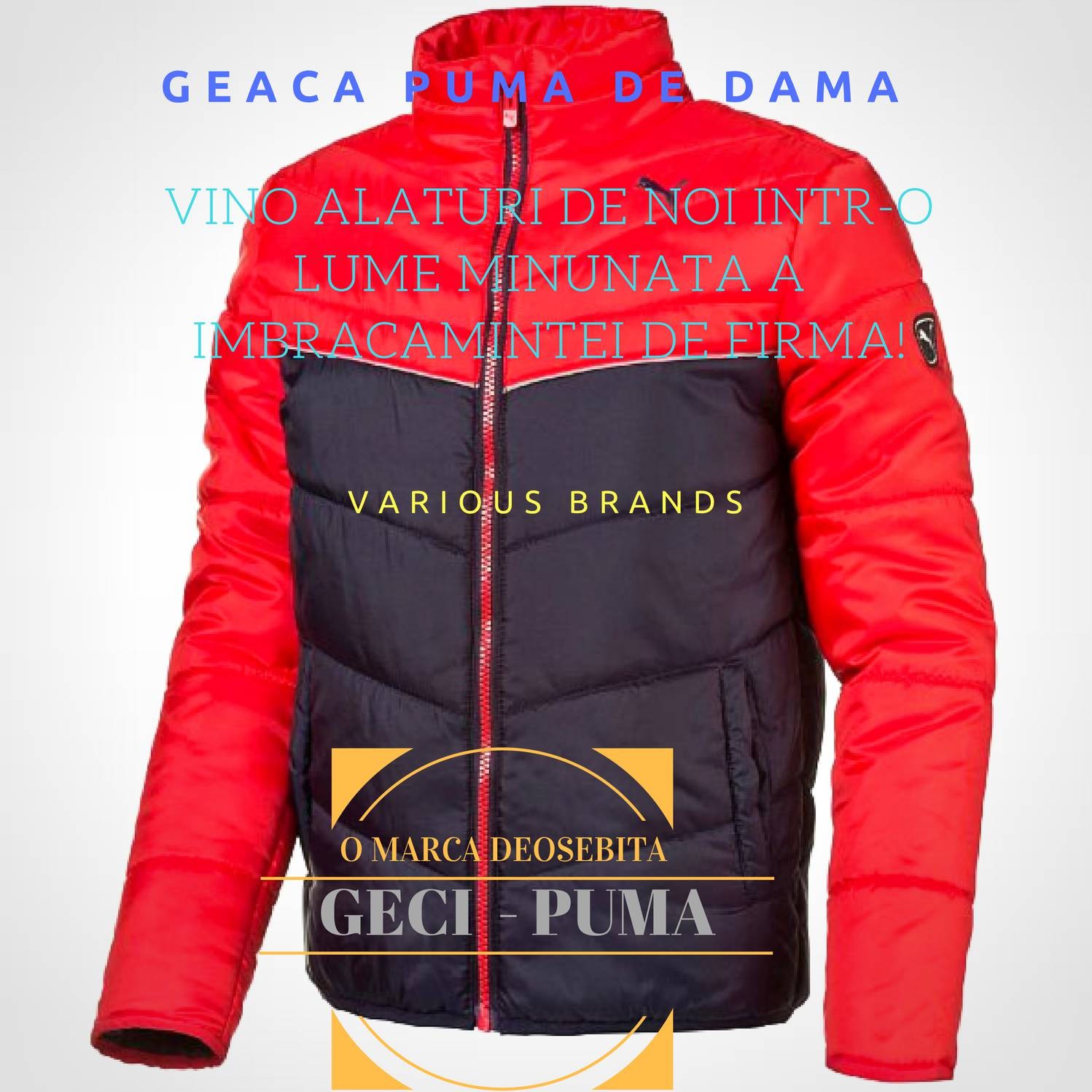 Geci Puma de dama.pdf | DocDroid