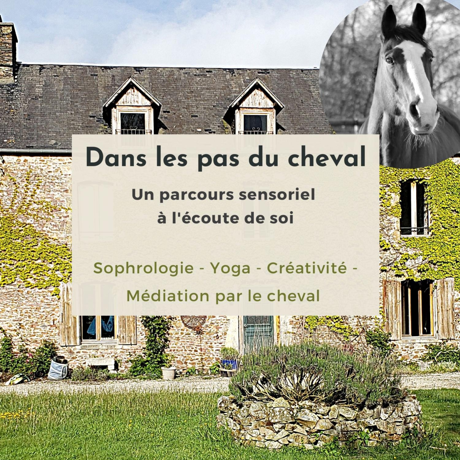 Brochure complète 2022 PDF.pdf | DocDroid