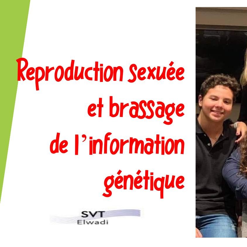 Rep sexuée & brassage de l'IG.pdf | DocDroid